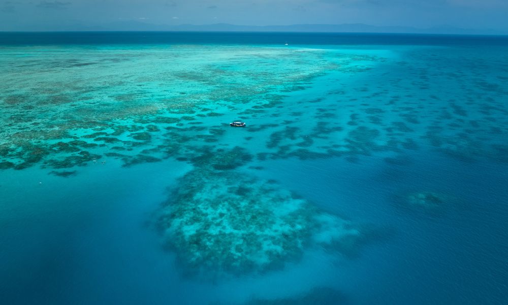 Upolu Cay Reef Adventure From Cairns - Half Day | Experience OZ