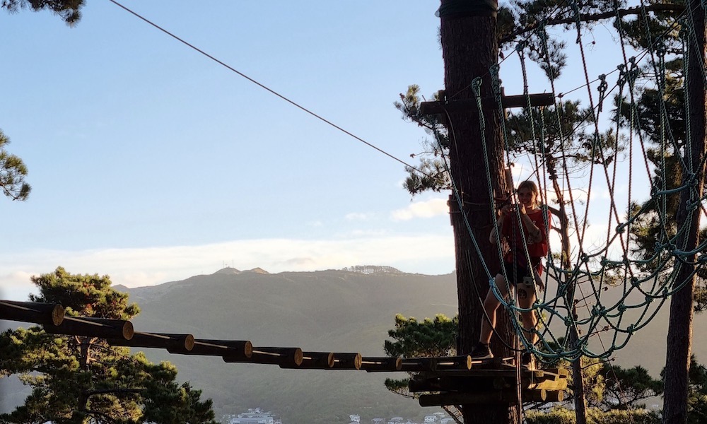 Adrenalin Forest Christchurch NZ - Buy Now | Experience Oz