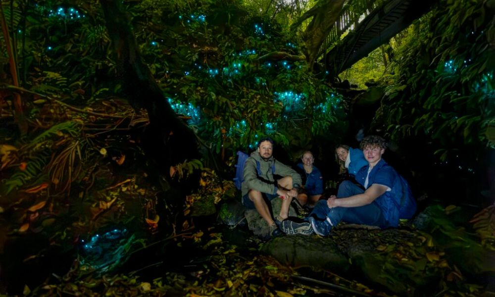 Auckland Pukekawa & Glowworm Tour - 1 Hour | Experience Oz + NZ