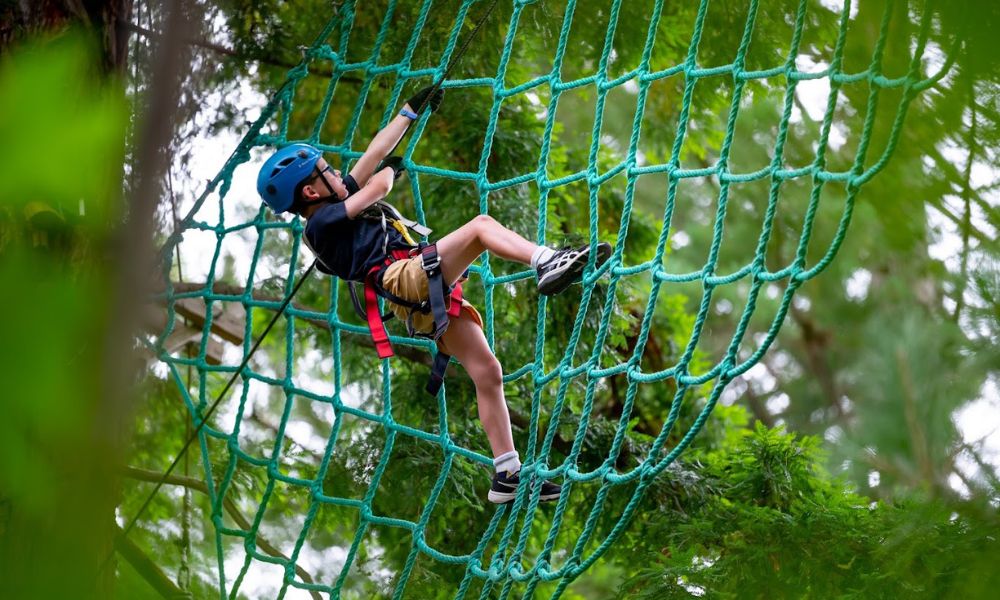 Canberra Tree Ropes Course For Kids - 2.5 Hours | Experience Oz