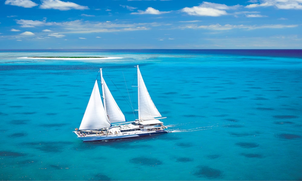 Michaelmas Cay Cruise & Snorkel, Full Day - Cairns | Adrenaline