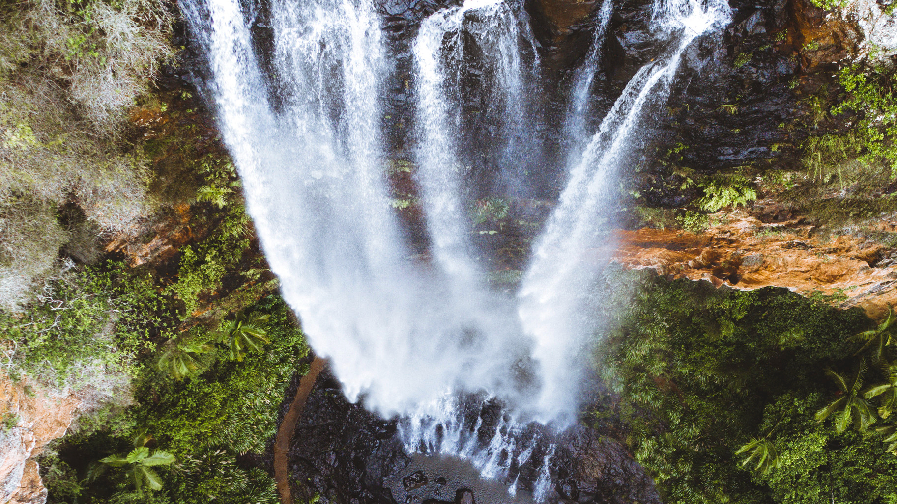 Springbrook Park Seven Waterfalls Tour - Full Day | Adrenaline