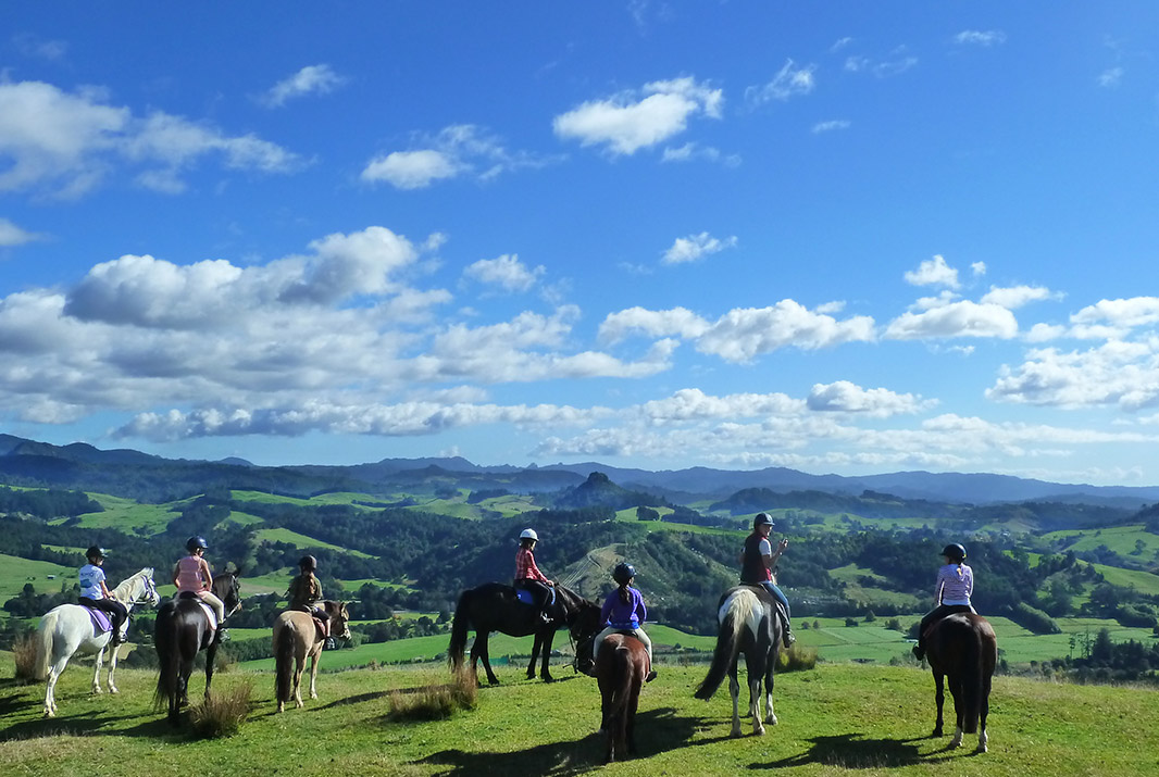 Top Things to do in the Coromandel 2023 - Book Online | Experience Oz