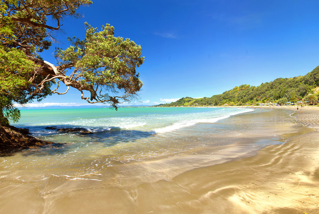 Top Things to do in the Bay of Plenty 2023 - Book Online | Experience Oz