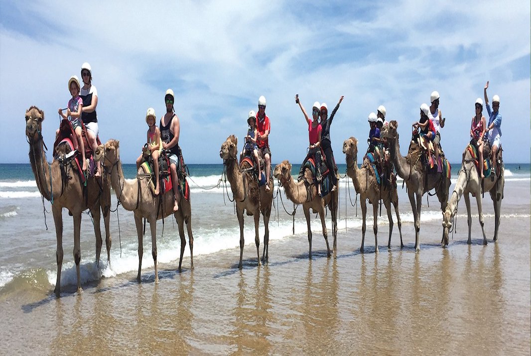 Top Things to do in Port Stephens 2020 - Book Online | Experience Oz