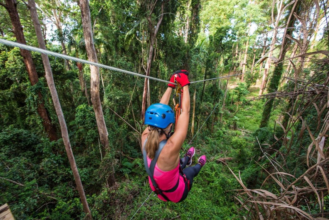 Top Things to do on the Sunshine Coast 2023 | Experience Oz