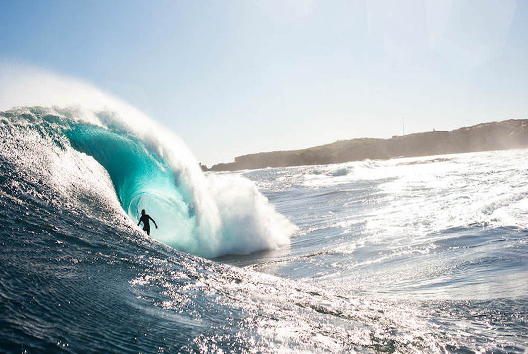 Top Things to do on Rottnest Island 2023 | Experience Oz