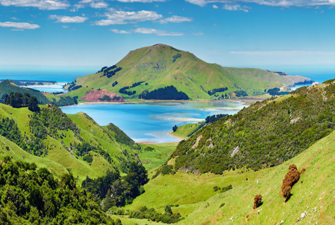 Top Things to do in Dunedin 2023 - Book Online | Experience Oz