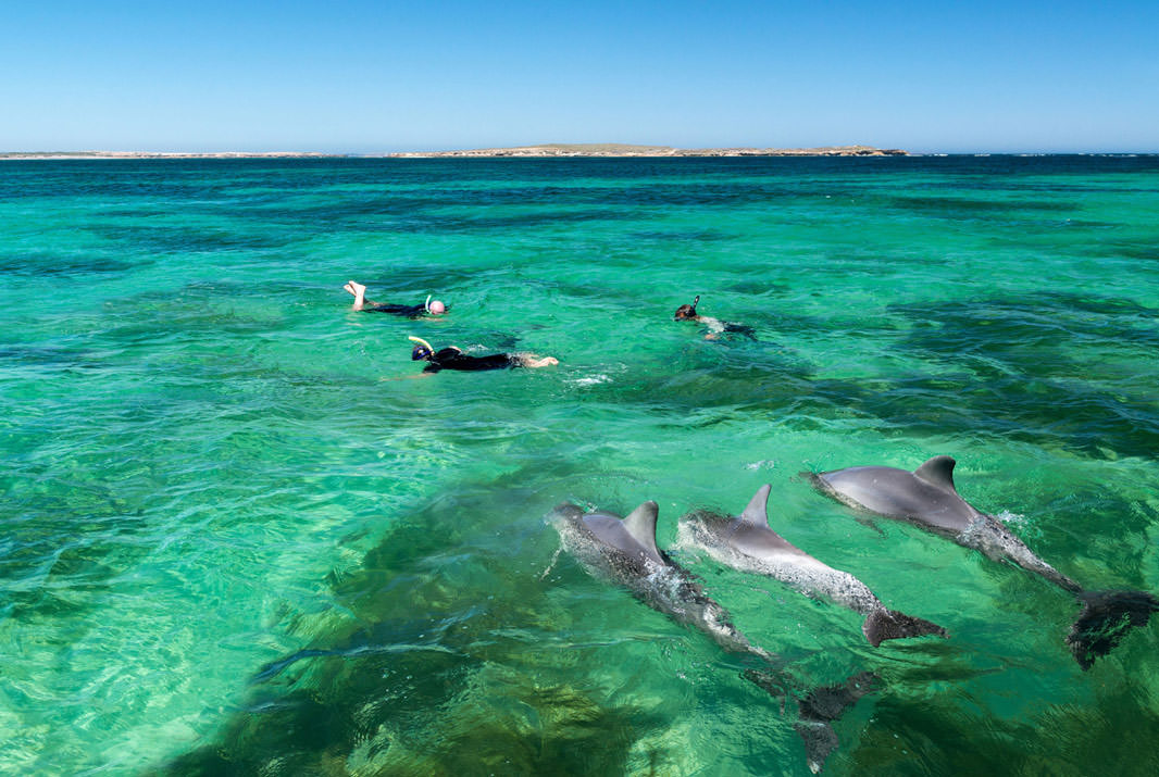 Top Things to do in Adelaide 2023 - Book Online | Experience Oz