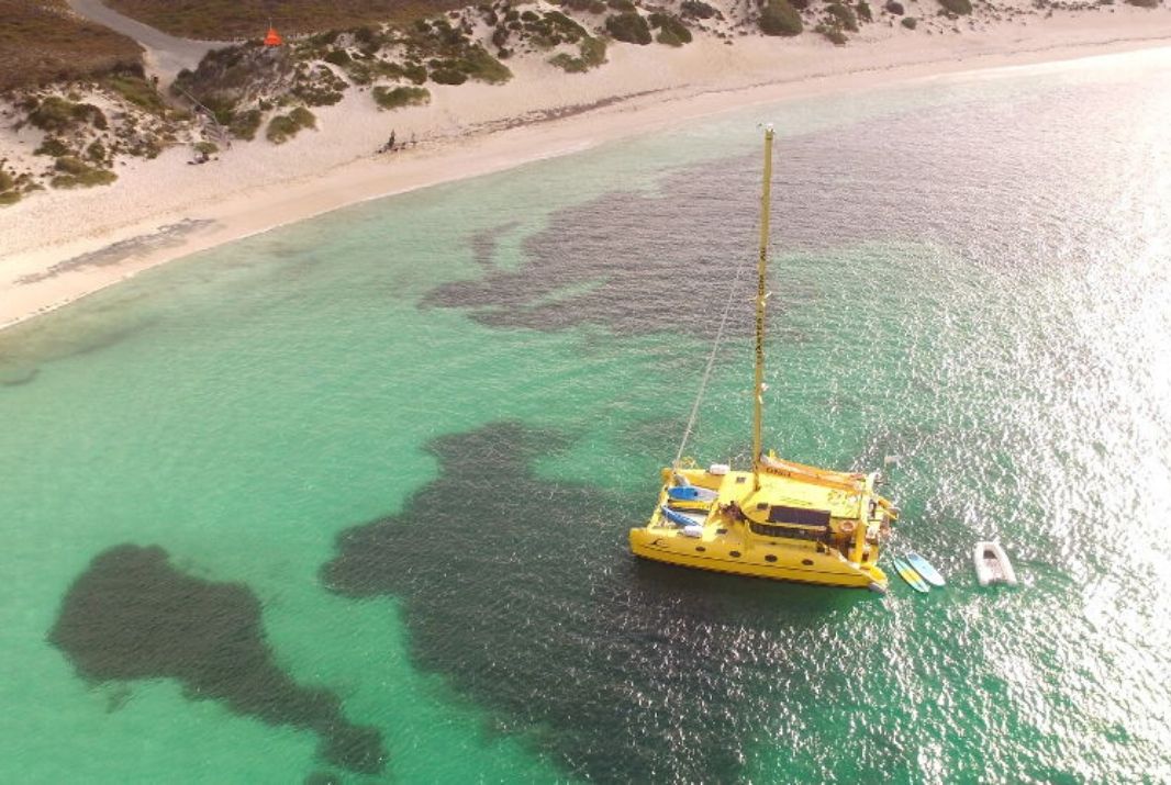 Top Things to do in Fremantle 2023 | Experience Oz
