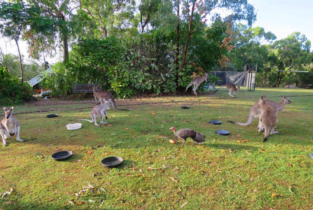 Top Things to do in 1770 Agnes Water 2023 | Experience Oz