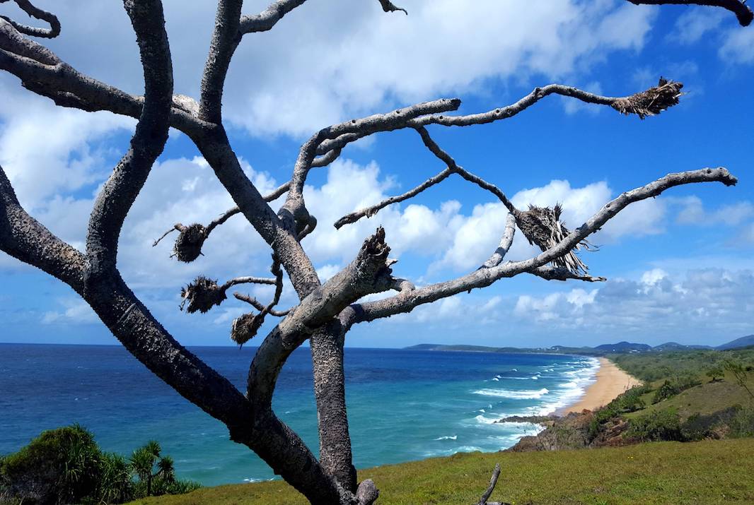 Top Things to do in 1770 Agnes Water 2023 | Experience Oz