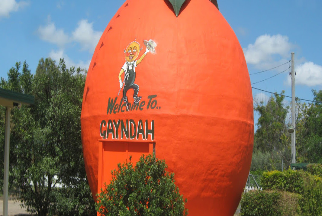 Top Things to do in Bundaberg 2019 - Book Online | Experience Oz