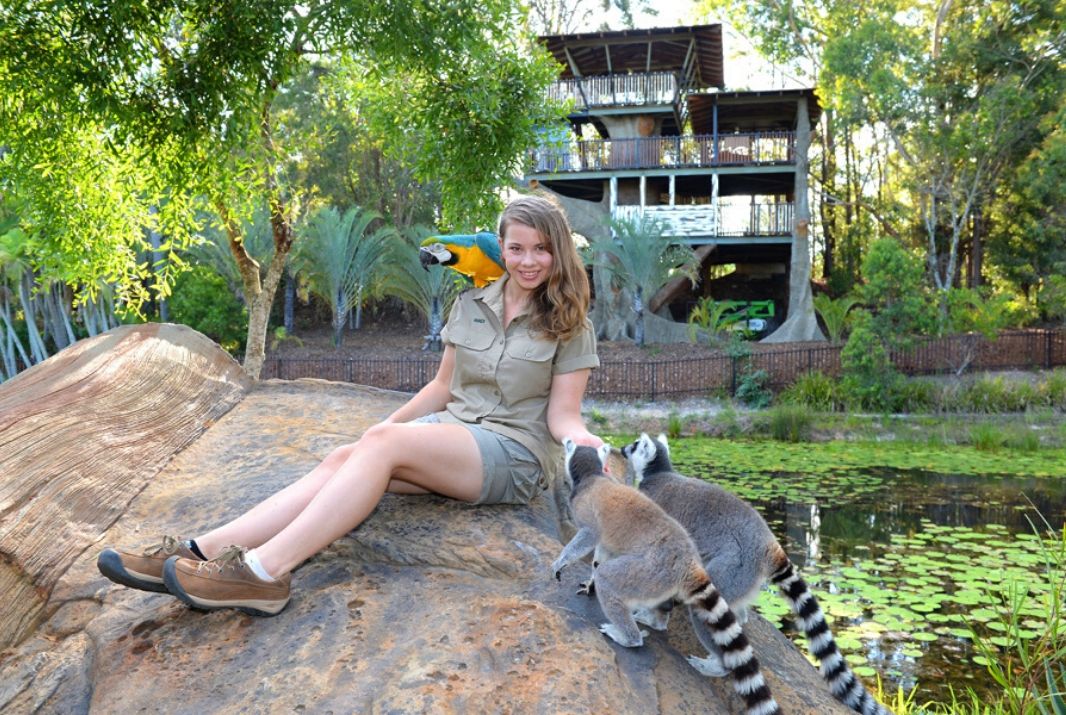 Top Things to do in Brisbane 2023 | Experience Oz