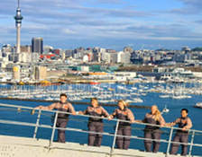 Top Things to do Auckland - Tours & Activities | Experience Oz & NZ