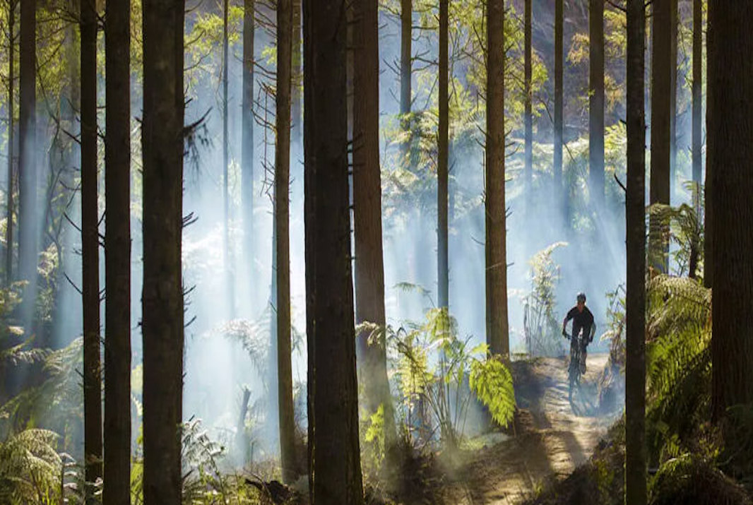 Top Things to do in Rotorua (2018) - Tours & Activities | Experience Oz