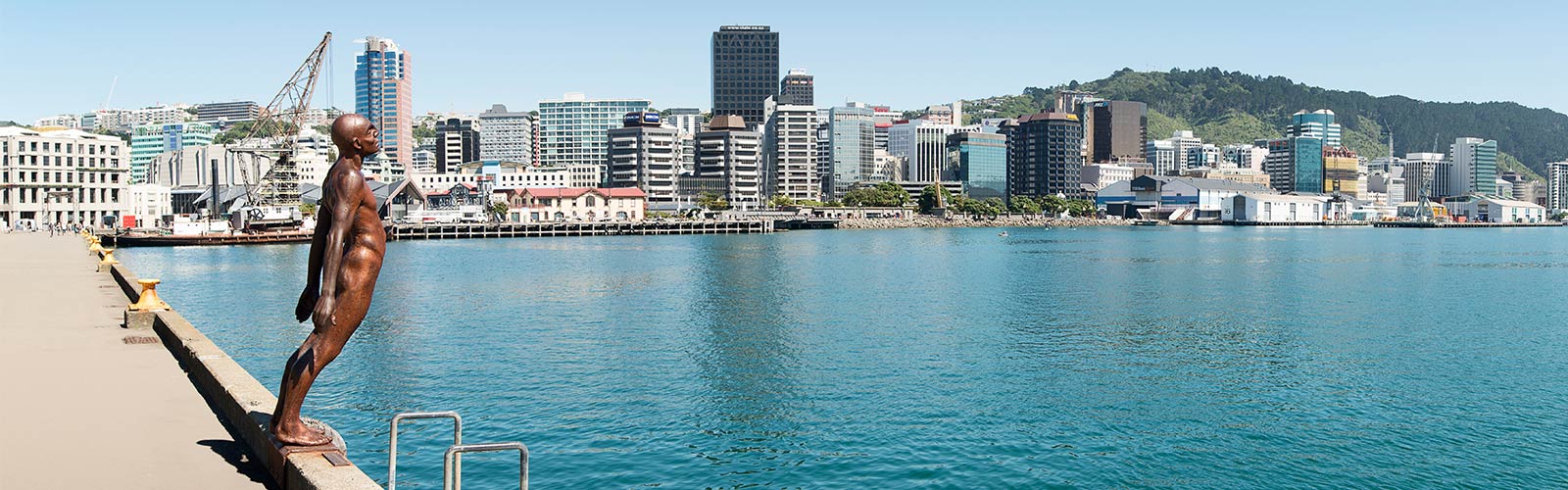 Top Things to do in Wellington 2020 - Book Online | Experience Oz