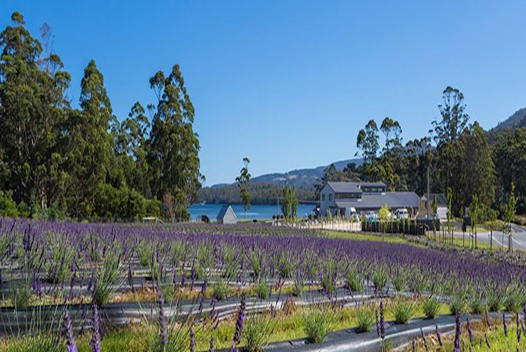 Top Things to do in Port Arthur 2023 - Book Online | Experience Oz